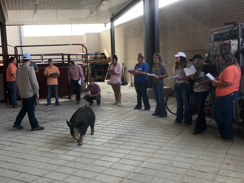 Judging Teams News | WTAMU