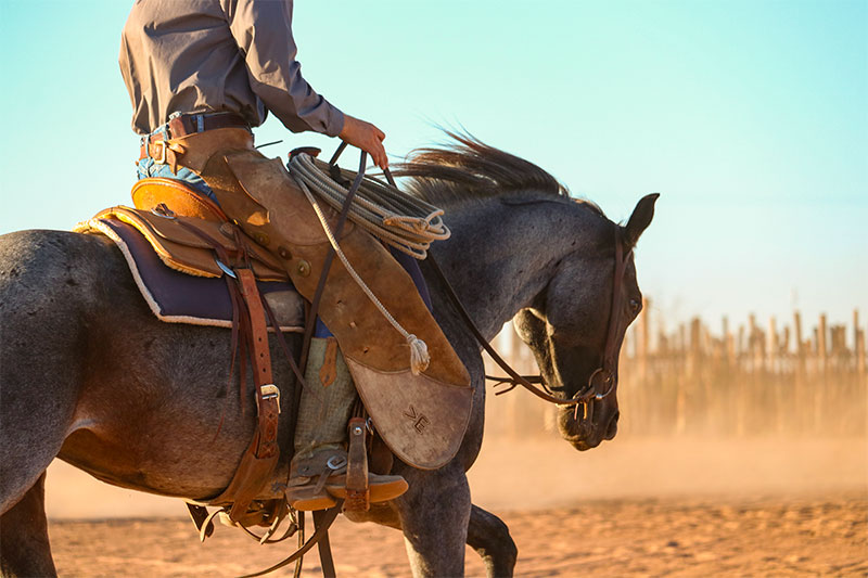 Ranch Horse Team | WTAMU
