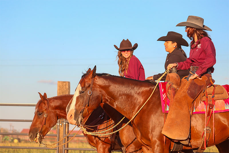 Ranch Horse Team | WTAMU