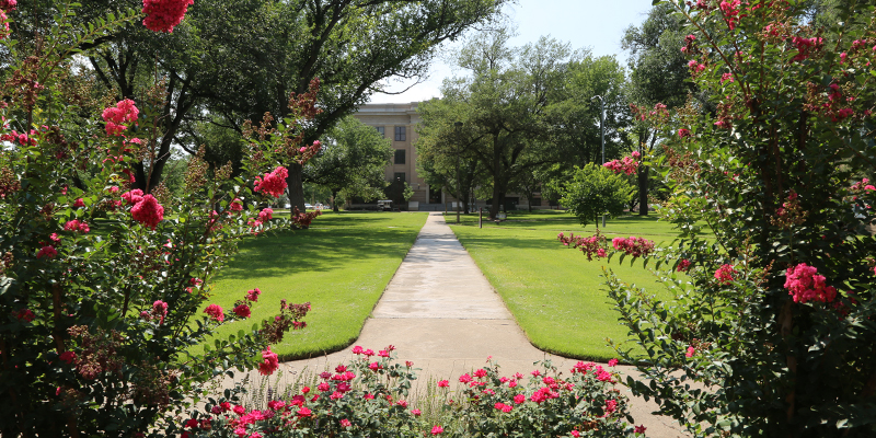 AHEC Scholars | WTAMU