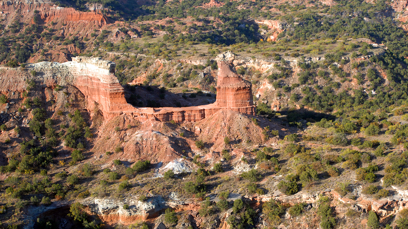 Significant WT Alum to Speak on Region’s Dinosaur Population for ...