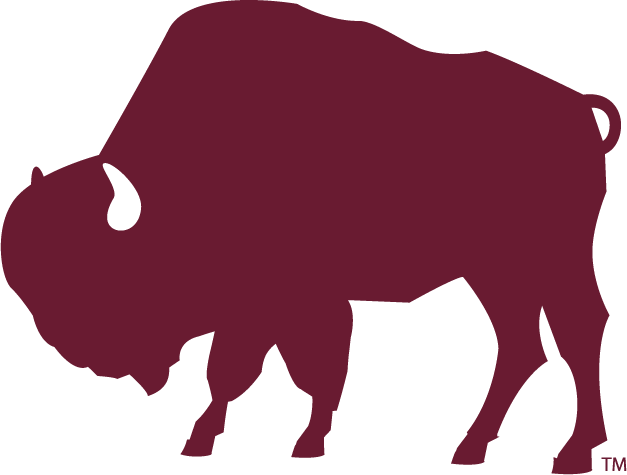 Graphic Standards | WTAMU