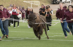 University Traditions | WTAMU